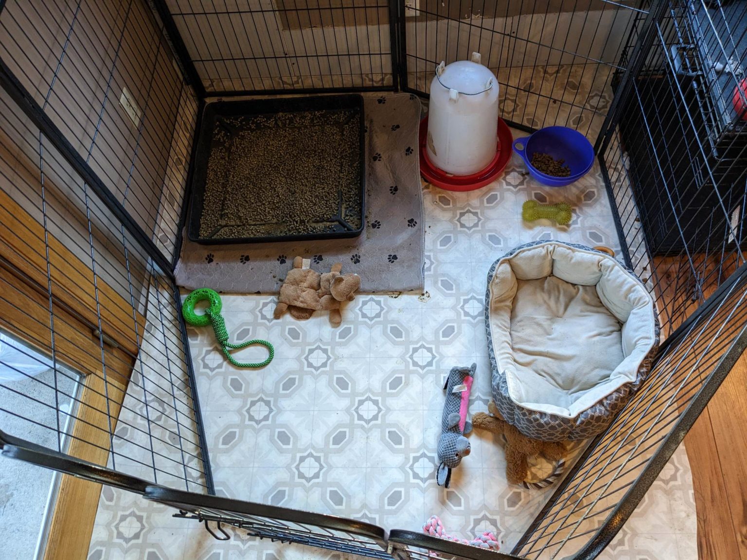 Puppy Playpen Setup | Green Acres Newfypoos